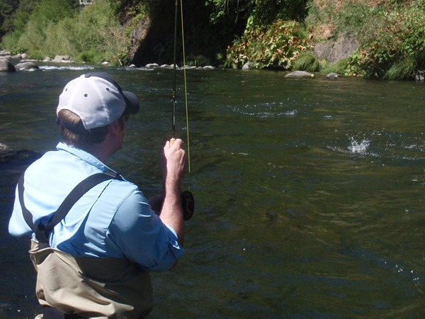 Pit River Fishing Report by Confluence Outfitters
