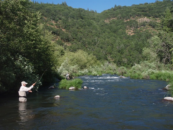 Pit River Fishing Report by Confluence Outfitters
