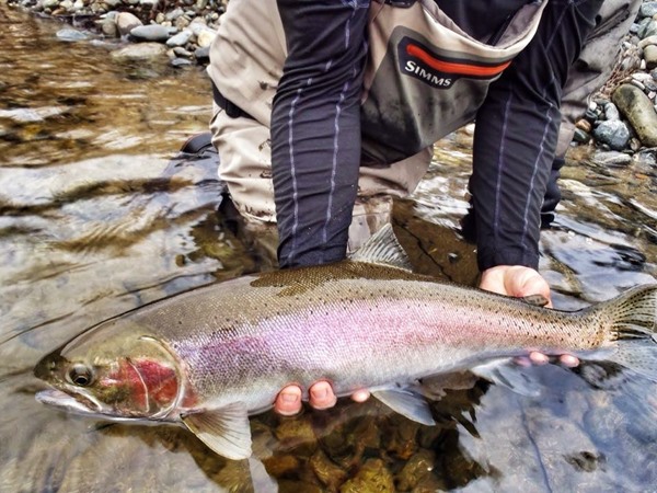 Trinity River Fishing Report by Confluence Outfitters