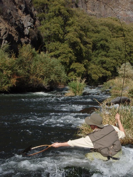 Pit River Fishing Report by Confluence Outfitters