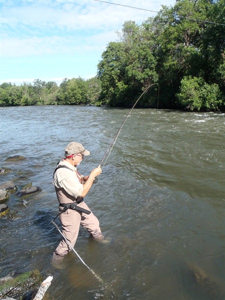 Pit River Fishing Report by Confluence Outfitters